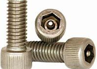 China Corrosion Resistant Metal Hex Trox Allen Anti Security Screw PIG NOEE Drive for sale