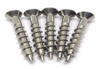 China Titanium Alloy G2 G5 Anodized Cross Recessed CSK Head Wood Screws DIN7997 for sale