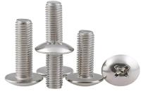China M6 M8 Super Duplex Stainless Steel Plain 2205 2507 904L Torx Drive Truss Head Machine Screw A286 for sale