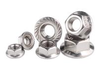 China M10 M12 Stainless Steel Hex Flange Nut SS304 316 316L Polish Plain Finish DIN6923 for sale
