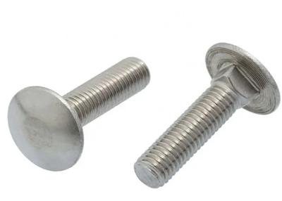 China M8 316 SS A4-80 METAL BOLT Carriage Bolt Large Round Head, Mirror Polish for sale