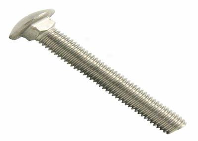 China M8  M10  M11  316 SS  SUS316 A4-80 METAL BOLT Carriage Bolt Plain Finish for sale