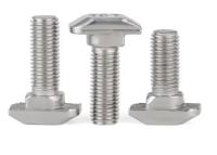 China Sizes And Logo Patterns Can Be Customized Metal T Bolt   Aluminum Titanium for sale