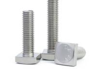 China 18-8 A2 A4 SS316 SS304 SS316L Stainless Steel Inox Square Hammer Head T Bolt Metal Bolt for sale