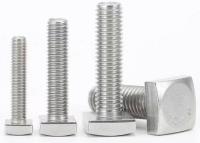 China SUPER DUPLEX SS 2205 2507 A286 904L Stainless Steel Passivation Polished Square Head Bolt  Metal Bolt for sale