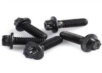 China M6 12.9 Dacromet Gumet Hot Dip Galvanized HDG 12 Point  Head Flange Metal Bolts for sale
