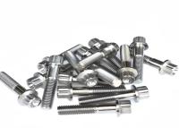 China Stainless Steel SS304 316 316L Plain 12 Point Flange Head Metal Bolt  12mm  20mm 50mm for sale