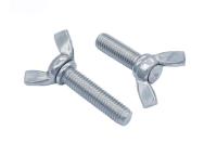 China M4 M10 M12 Metal Bolt Grade 4.8 8.8 10.9 12.9 Galvanized Carbon Steel Nickel Plating Edged Butterfly Wing Bolt DIN318 for sale