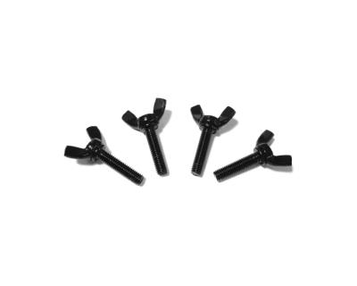 China Metal Bolt A2-70 SUS304 SUS316 304N 316L Black Electrophoresis Edged Butterfly Wing Bolt DIN318 for sale