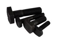 China High Quality Carbon Steel  4.8 8.8 10.9 12.9 Square Hammer Head T Bolt Metal Bolt for sale