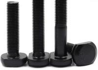 China High Quality Carbon Steel Grade Class 4.8 8.8 10.9 Black Oxide Metal Bolt T-Slot T Head Bolts for sale
