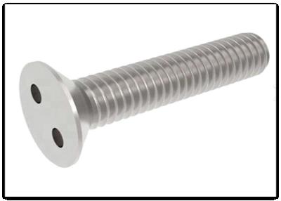 China M1.6 M1.7 Two Holes Snake Eyes Pig Nose Flat Head Anti Theft Security Metal Screw A2 A4 Ss Custom Size for sale
