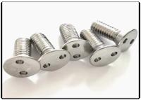 China M1.6 M1.7 Two Holes Snake Eyes Pig Nose Flat Head Anti Theft Security Metal Screw A2 A4 Ss Custom Size for sale