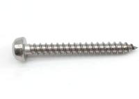 China F61 F65 2507 2205 Torx  Pan Head Security Tapping Anti Theft Tapping Metal Screw Din14585 for sale