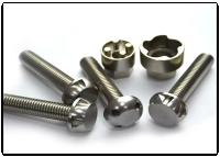 China Super Duplex Stainless Steel Dss 2507 2205 Torx Slot S Shaped One Way Pan Head Security Bolt Anti Theft Metal Screw for sale