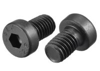 China Hexagon Socket Head Cap Metal Screws With Low Head M3-M24 DIN7984 Steel ZP GAL for sale