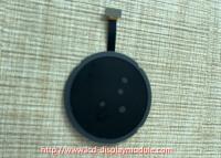 China 1.3 Inch AMOLED Display 360x360 Resolution for sale