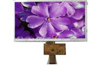 China 1024 X 600 TFT LCD Display Module LVDS 10.1 Inch Resistance Screen Whte Backlight for sale