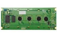 China Yellow Green 240 x 64 Graphic LCD Module STN With 12 O ' clock Viewing Angle for sale