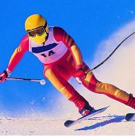 China Plastics and Packaging - Sports Equipment Printing Mesh for sale