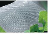 China Membrane Technology - Filter Mesh for Membrane Technology for sale