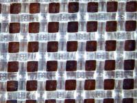 China Screen filter cloth  flour milling mesh 8GG white 350 micro /XX & XXX & GG Flour Mesh for sale