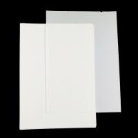 China Waterproof PET Transparent Inkjet Film 0.2 - 2mm Hard Plate Anti - Aging for sale