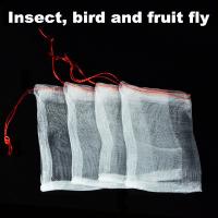 China Nylon insect-proof net bag fruit bag bag nylon seed bag soaking bag filter pitaya fruit-fly-proof bird-proof bag for sale