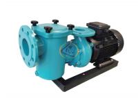China MLPJ005 Cast Iron Water Pump 40-90 m³/h Flow for Pool Filtration Systems - Vertical/Horizontal Installation for sale