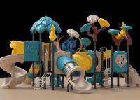 China Professional Outdoor Playground Equipment 650cm x 550cm with LLDPE Slide & Galvanized Steel Structure for sale