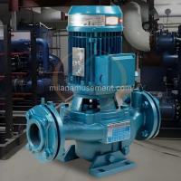 China Vertical Swimming Pool Pump Cast Iron For Commercial Or Private for sale