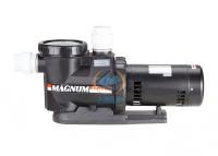 China High Water Volume Plastic Swimming Pool Pump 22-30cbm/h for Commercial Use for sale