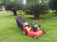 China Hand Push Portable 139cc Petrol Garden Lawn Mower Tractor XYM1P65FA for sale