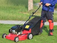 China Hand Push Portable 139cc Petrol Garden Lawn Mower Tractor XYM1P65FA for sale