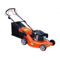 China 6 HP Cylinder Petrol Lawn Mower Garden Portable Lawn Mower With B&S or Honda Engine for sale