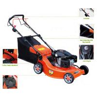 China 6 HP Cylinder Petrol Lawn Mower Garden Portable Lawn Mower With B&S or Honda Engine for sale
