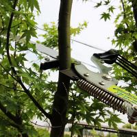 China Telescopic Branch Manual Pole Saw Pruning Shears 1.2m - 7.2m for sale