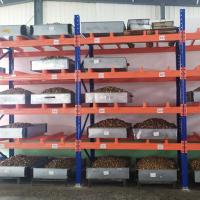 China Customizable Warehouse Steel Rack With Powder Coating Adjustable Height for sale