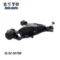 China 1997-2003 Mevotech MS20399 Left Suspension Control Arm for Ford F-150 2003 Pickup Truck for sale