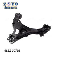 China 1997-2003 Mevotech MS20399 Left Suspension Control Arm for Ford F-150 2003 Pickup Truck for sale