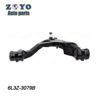 China 1997-2003 Mevotech MS20399 Left Suspension Control Arm for Ford F-150 2003 Pickup Truck for sale