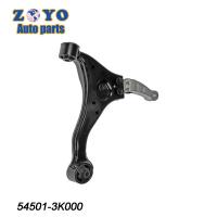 China OEM Standards Suspension Lower Control Arms for Hyundai Sonata Dorman No. 521-747 /521-748 for sale