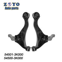 China OEM Standards Suspension Lower Control Arms for Hyundai Sonata Dorman No. 521-747 /521-748 for sale