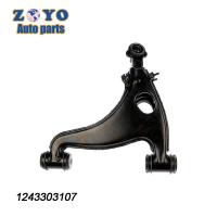 China Front Lower Suspension Control Arm for Mercedes-Benz SL500 Dorman No. 521-209/521-210 for sale