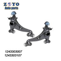China Front Lower Suspension Control Arm for Mercedes-Benz SL500 Dorman No. 521-209/521-210 for sale