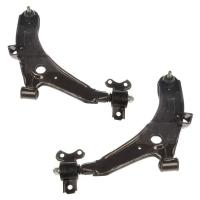 China OEM Standard Front Suspension Control Arm for Hyundai Tiburon 54500-29000 54501-29000 for sale