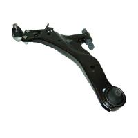 China Hyundai Trajet 2005-2008 Lower Control Arm with E-Coating and SPHC Steel from Autozone for sale