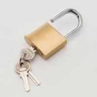 China Thick High Security Padlock Durable Brass Pad Locks High Precision for sale