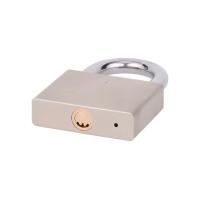 China Metal High Security Padlock 40mm 50mm 60mm 70mm Iron Pad Lock for sale