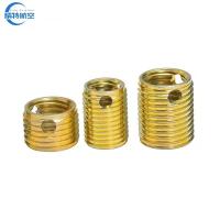 China Colored Stainless Steel 302/307/308 Style Self Tapping Threaded Inserts for M2-M60 Customization for sale
